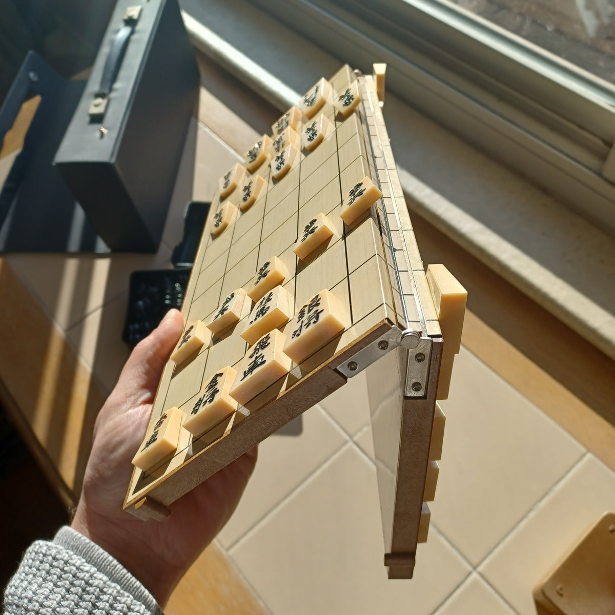 #C229 Magnetic Baduk Set and Shogi Set combination with Travel Case ...